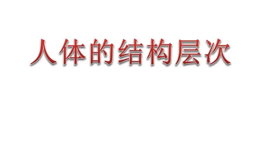 人体的结构层次