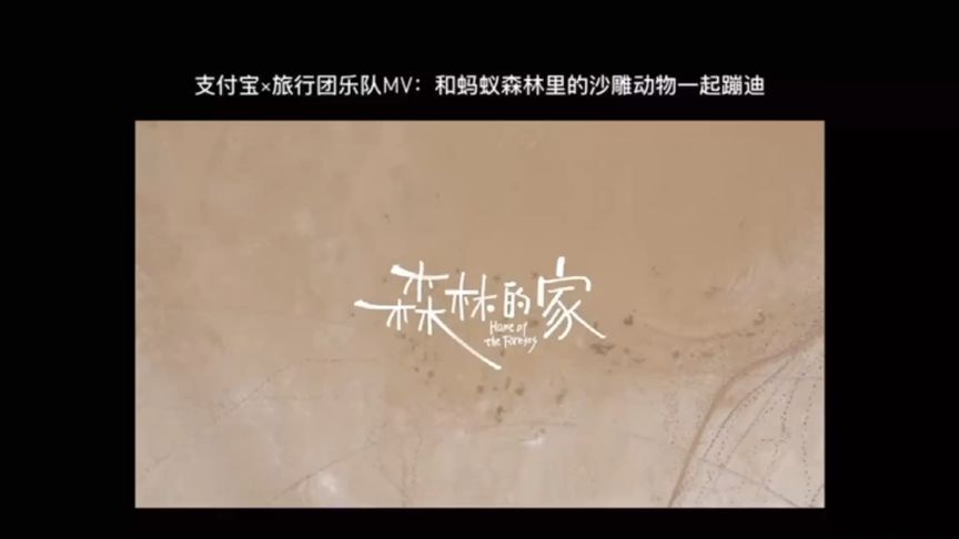 保护森林人人有责