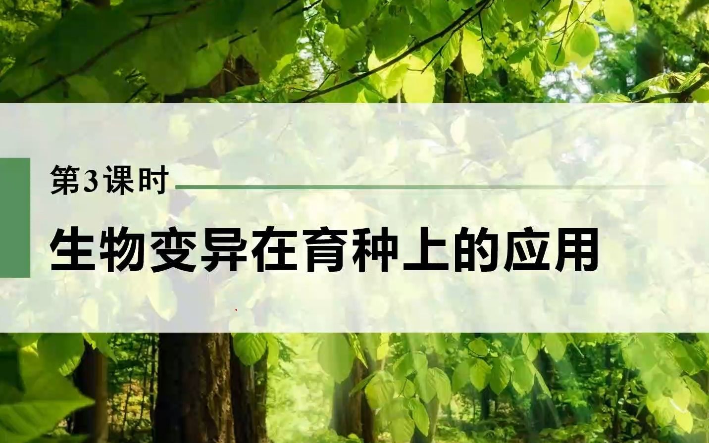 【高中生物一轮复习】7.3-2变异及育种应用 习题新高考生物步步高...