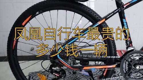 天价凤凰自行车揭秘!一辆竟能换一辆豪车?