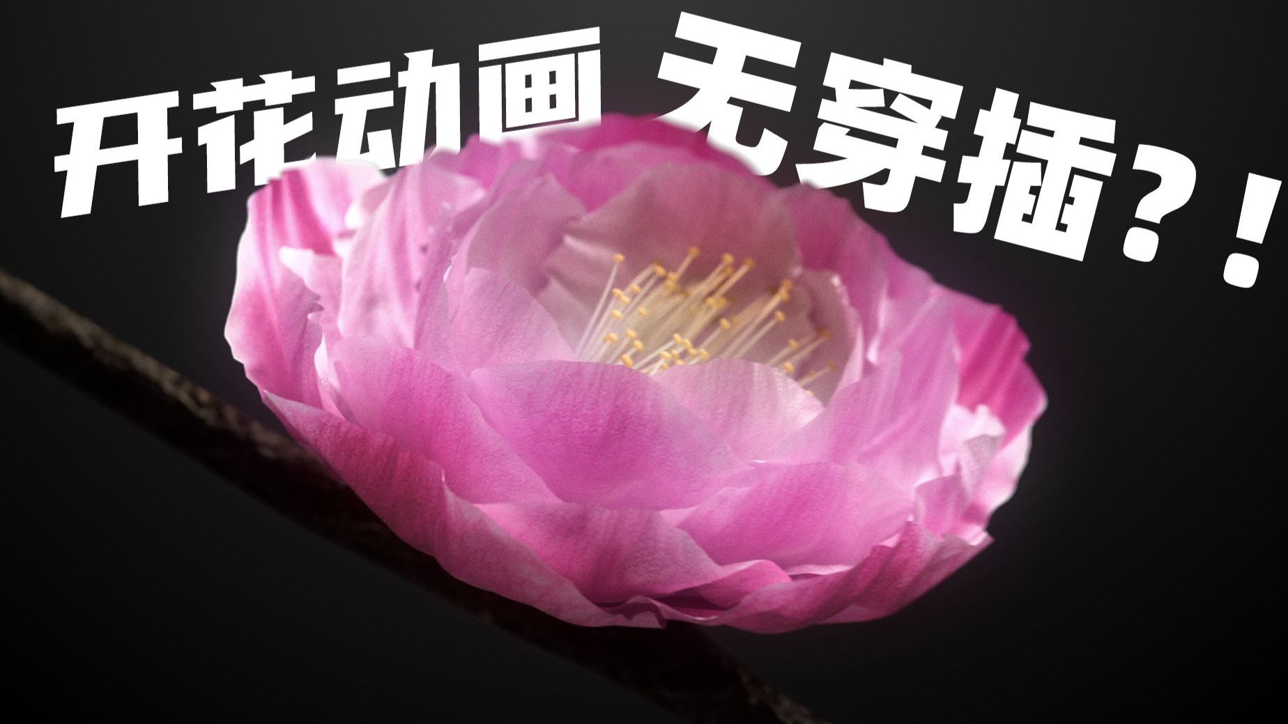 ...分钟带你用布料制作无穿插梅花开花动画,效果媲美Houdini、blender。