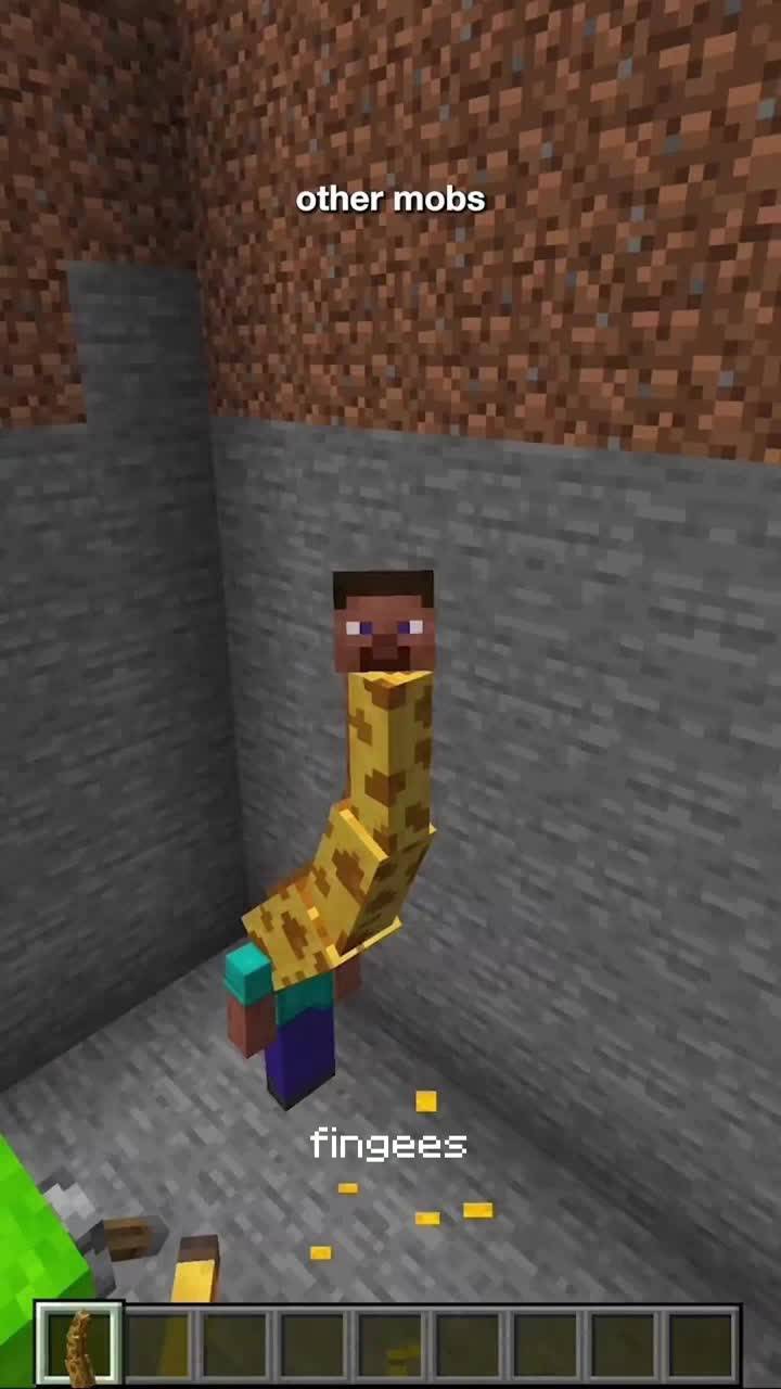 我将脖子添加到我的世界