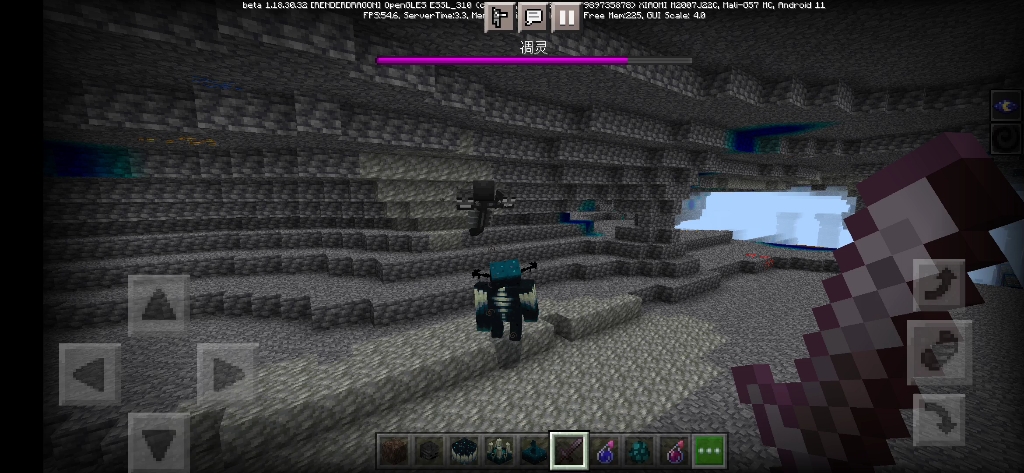 我的世界基岩版 循声守卫大战凋零 很公平的战斗了 就要看两个人的...