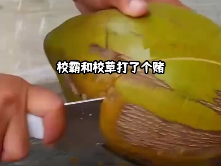 云霞全程:校霸和校草打了个赌,赌谁能攻略我这个贫困生。等我沦陷,...