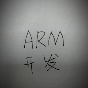 致玩家-ARM嵌入式方案 