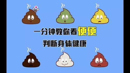 一分钟教你看便便判断身体健康