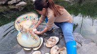 野生河蚌不受人为干涉，是怎么产出珍珠的？一分钟告诉你答案！