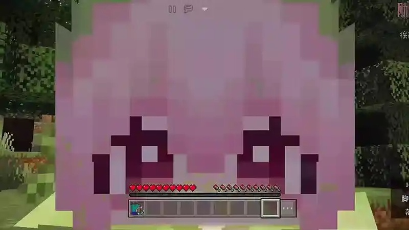 我的世界:超逆天的苦力怕娘皮肤!666盐都不带盐的!