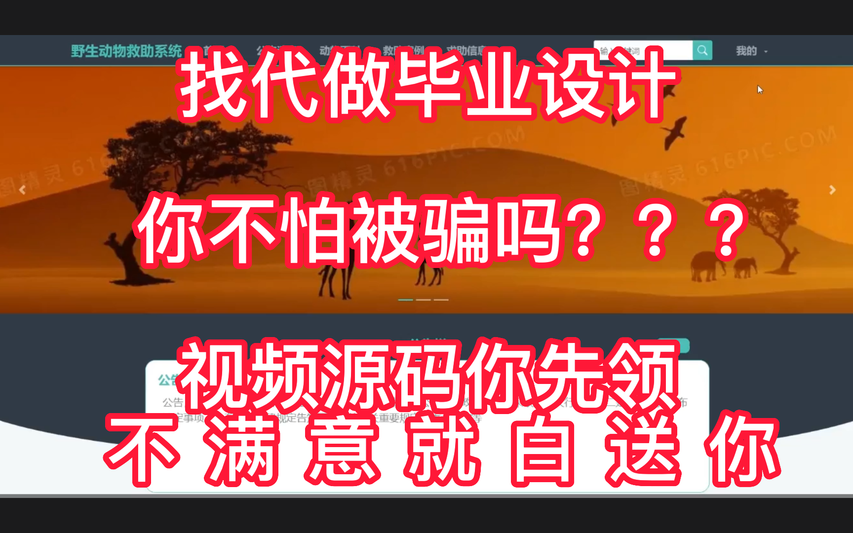 【响应式】毕业设计:河北建材学院野生动物救助系统ssm,课程设计/...