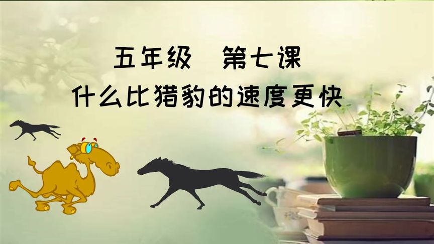 熟读预习课文很重要,五年级语文第七课《什么比猎豹的速度更快》