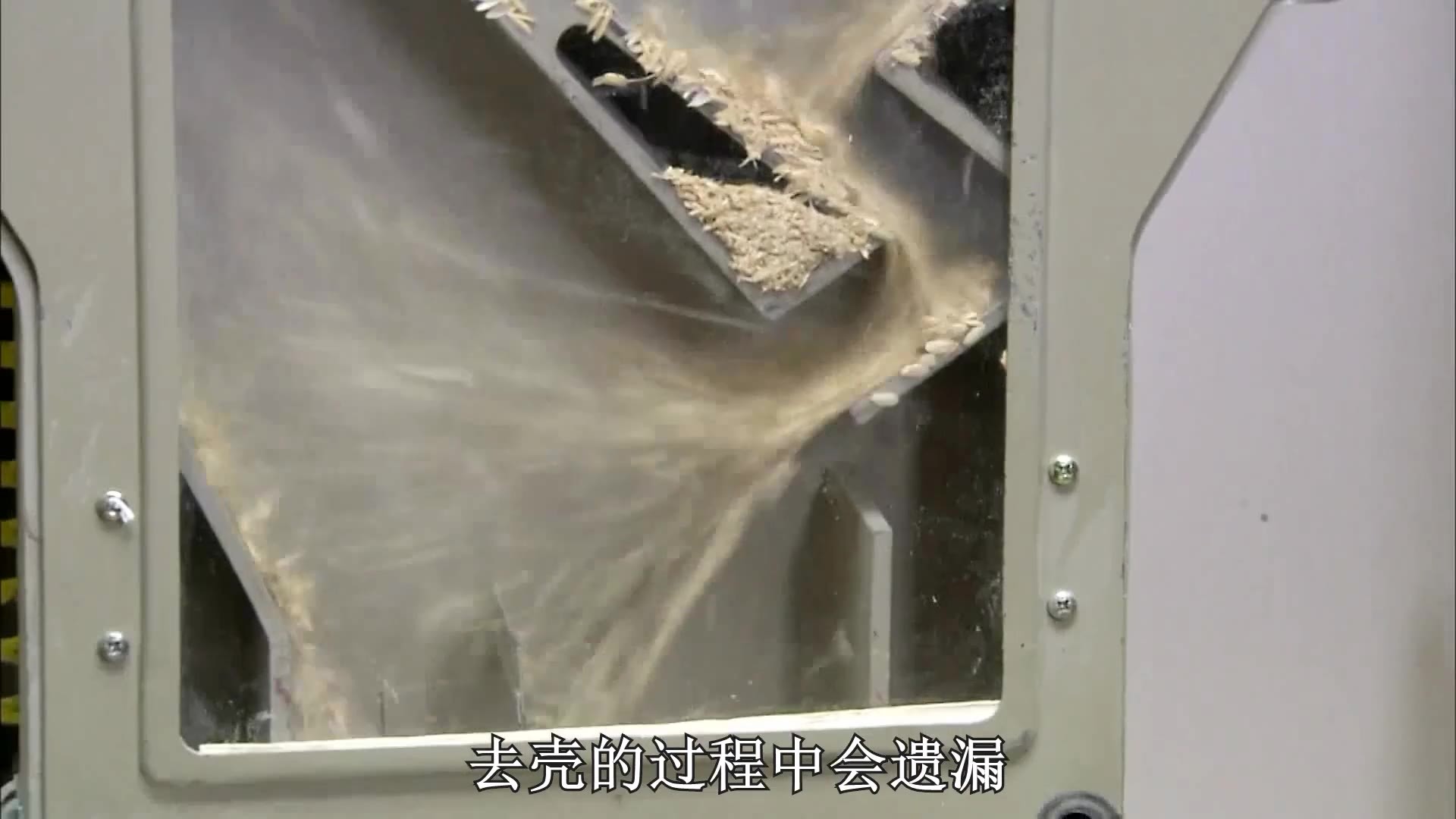 《造物百科》-大米的制造过程