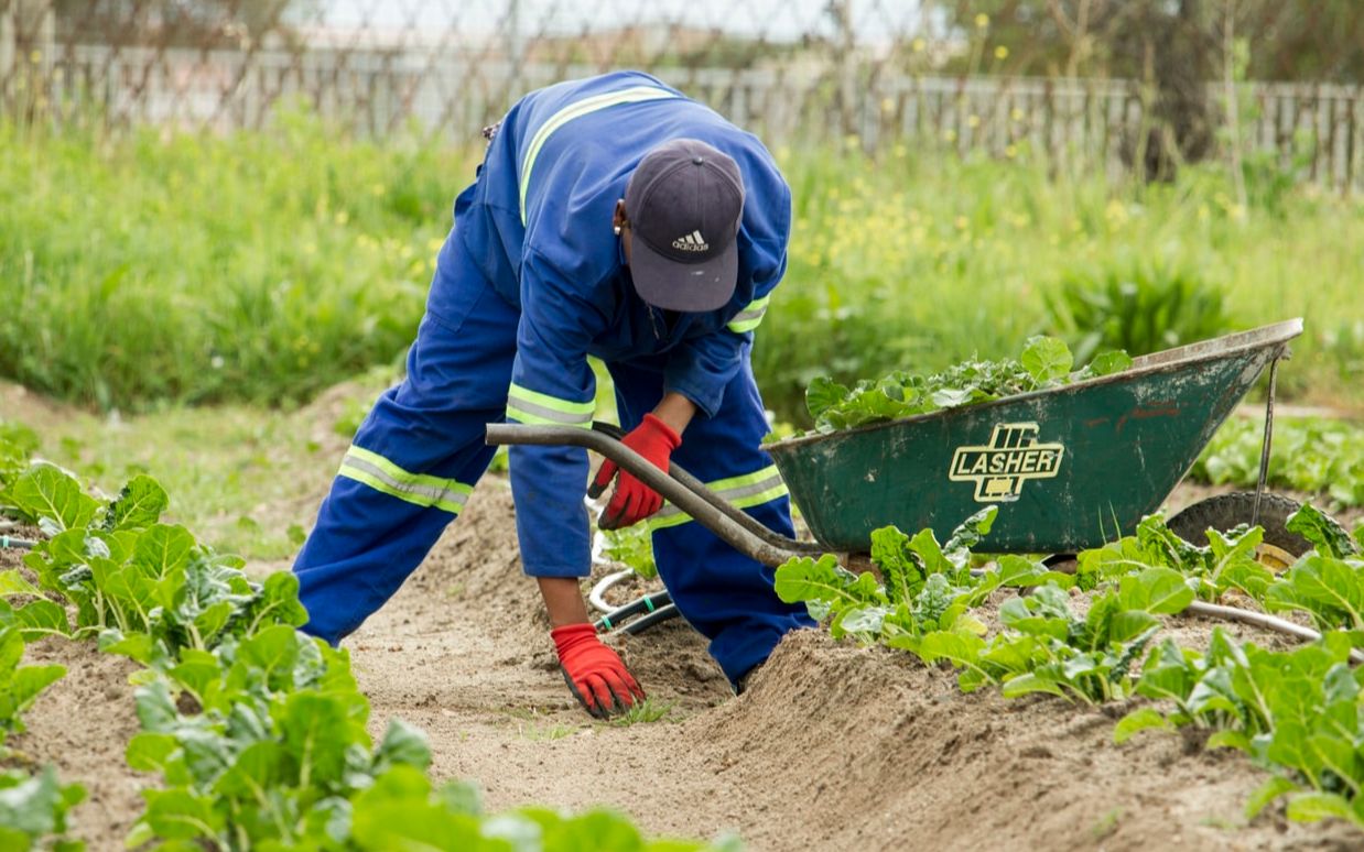 养老好消息!部分农民迎来养老金解决方案,国家发钱让你安心养老