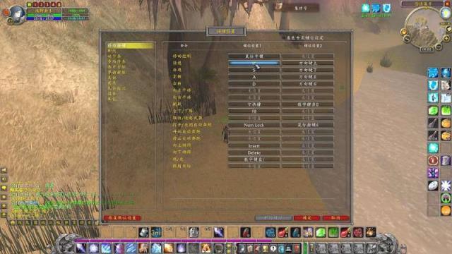 永恒之塔怀旧服魔道操作设置