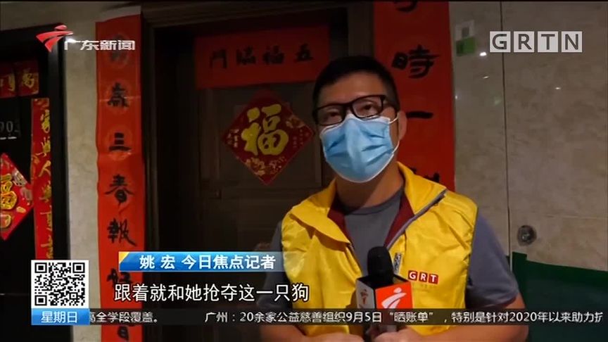 深圳:宠物狗咬伤小孩 调解后家长上门将狗摔死