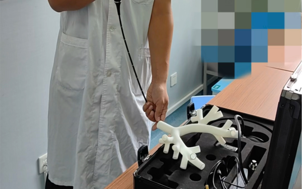 气管镜 气管模型 气管镜训练模型 纤维支气管镜 纤维气管镜 支气管镜 ...