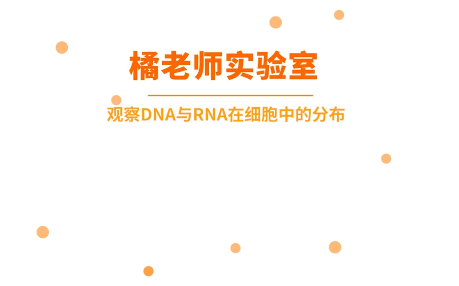 【橘老师实验室】观察DNA与RNA在细胞中的分布