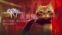 狒狒玩游戏 第46集 流浪猫模拟器:不做人的第一天,还有点不习惯
