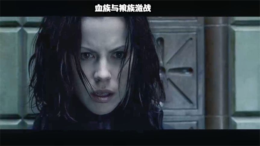 血族与狼族激战