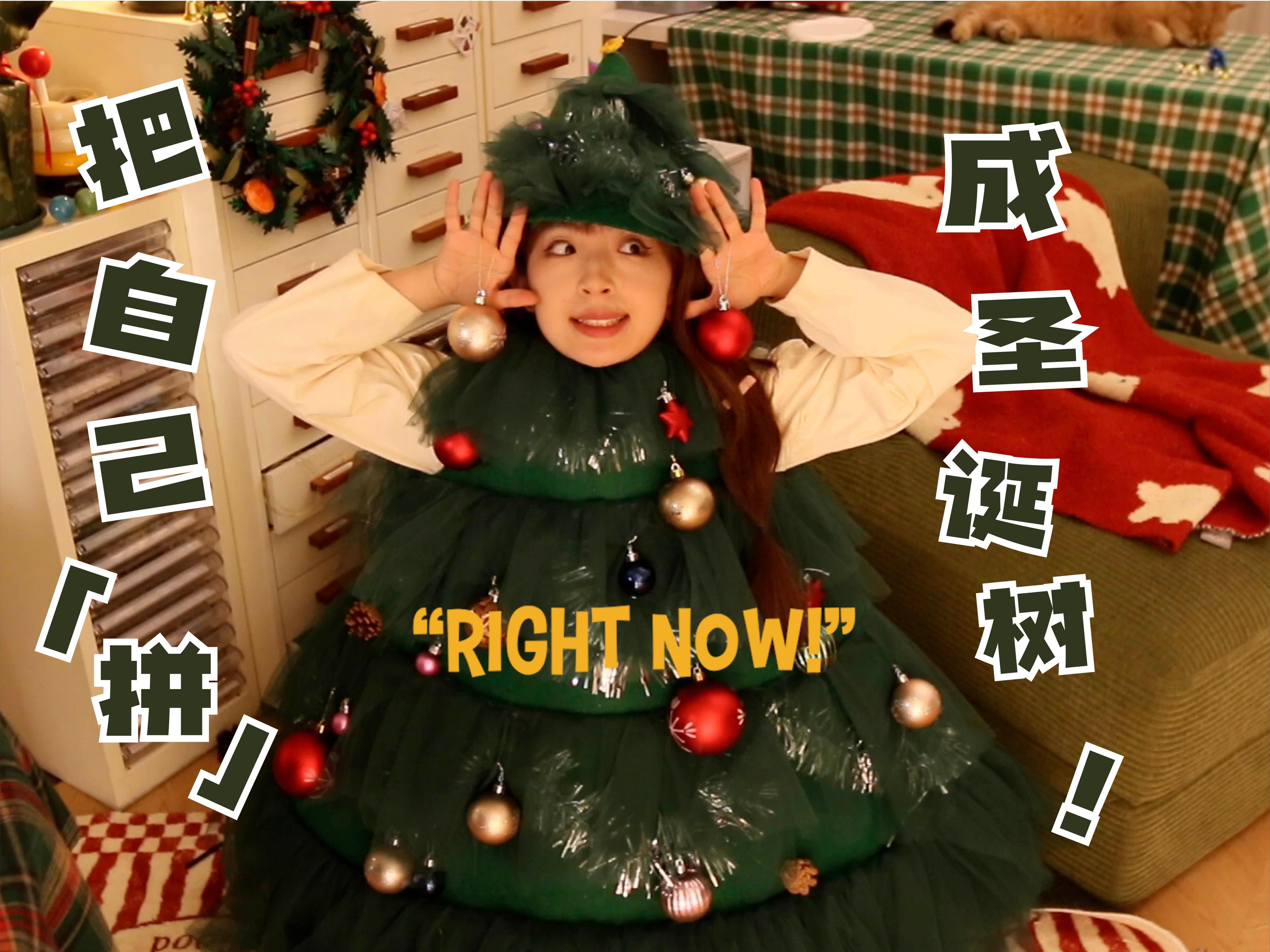 圣诞树|如何把自己变成一棵圣诞树~