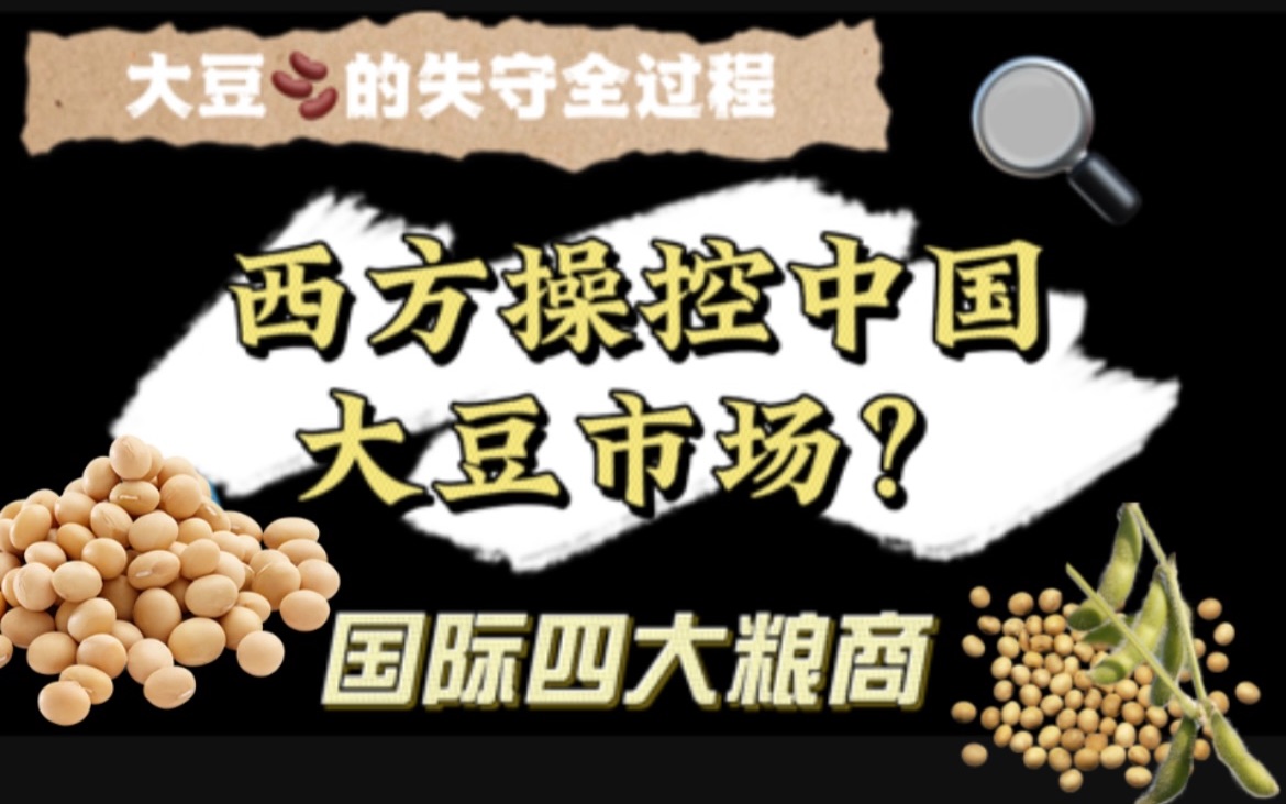 粮食危机?西方操控中国大豆市场?四大粮商如何操控国际价格?中国...
