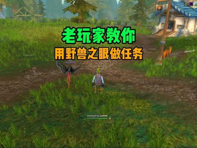 老玩家教你用野兽之眼高效完成任务 魔兽世界怀旧服 魔兽世界专家...