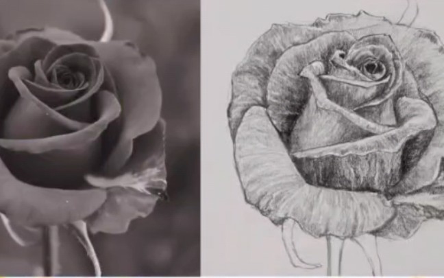 [素描]自学素描超实用技巧学习,最简单的画素描玫瑰花的方法!顺着结构...