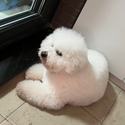 写代码的宝哥 
