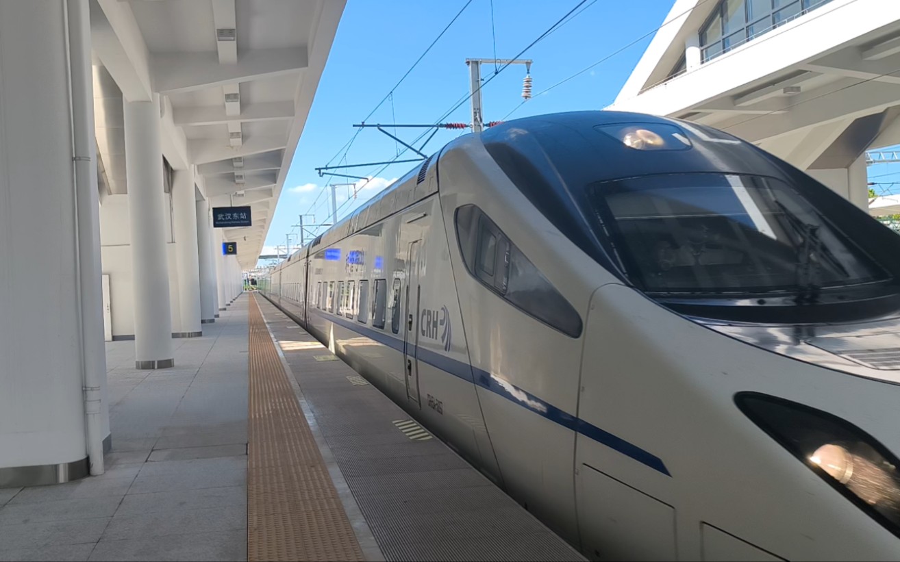 【武汉东站首日纪念】D5746次(阳新-宜昌东)列车到达武汉东站。
