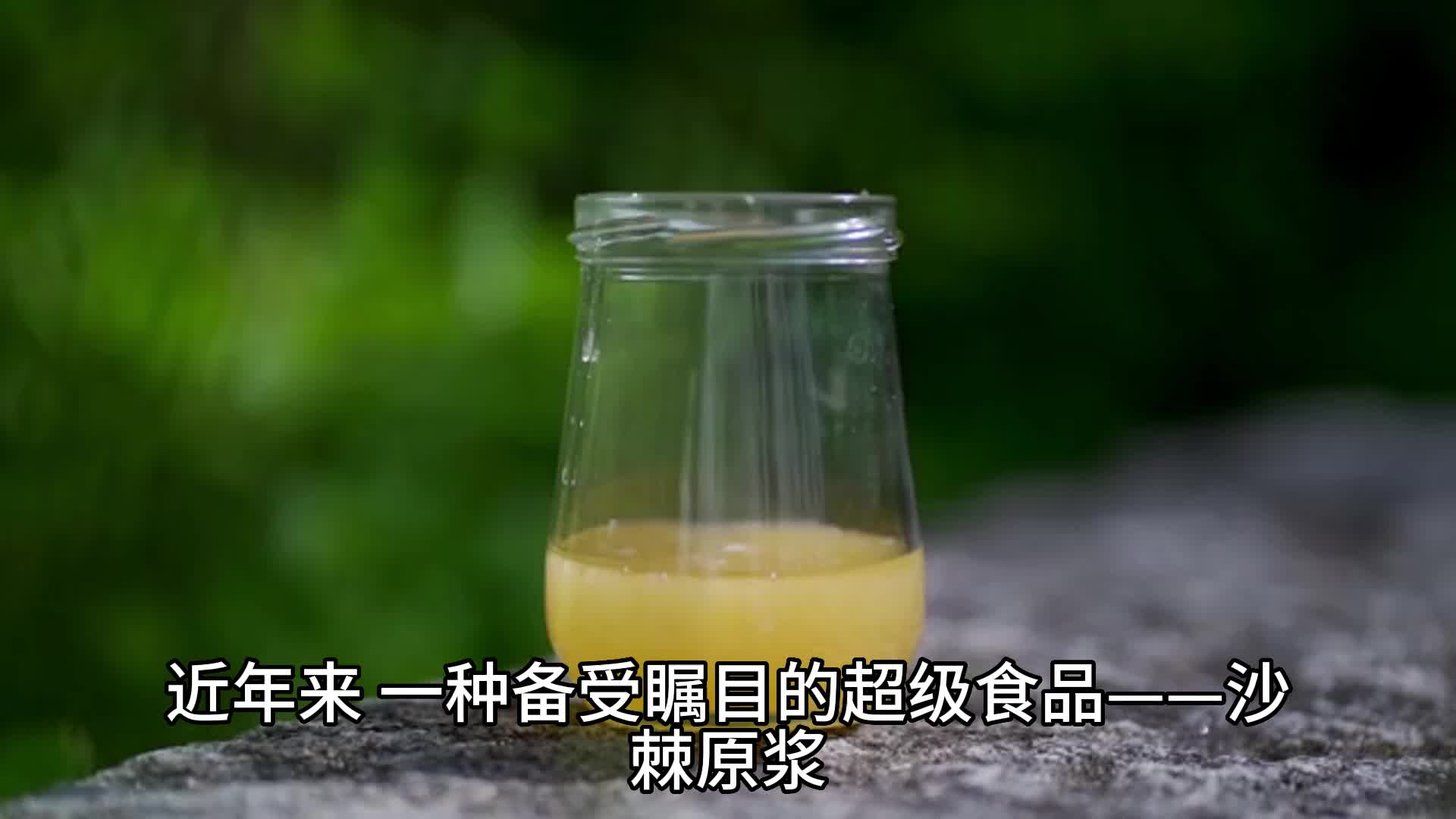 沙棘原浆的功效与作用,一定要知道,别不懂