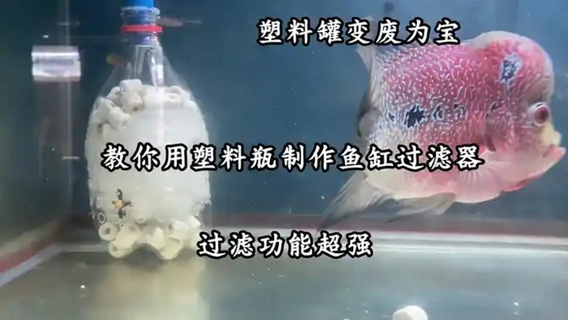 教你用塑料瓶制作鱼缸过滤器,快速清除鱼缸,功能强大,简单便宜