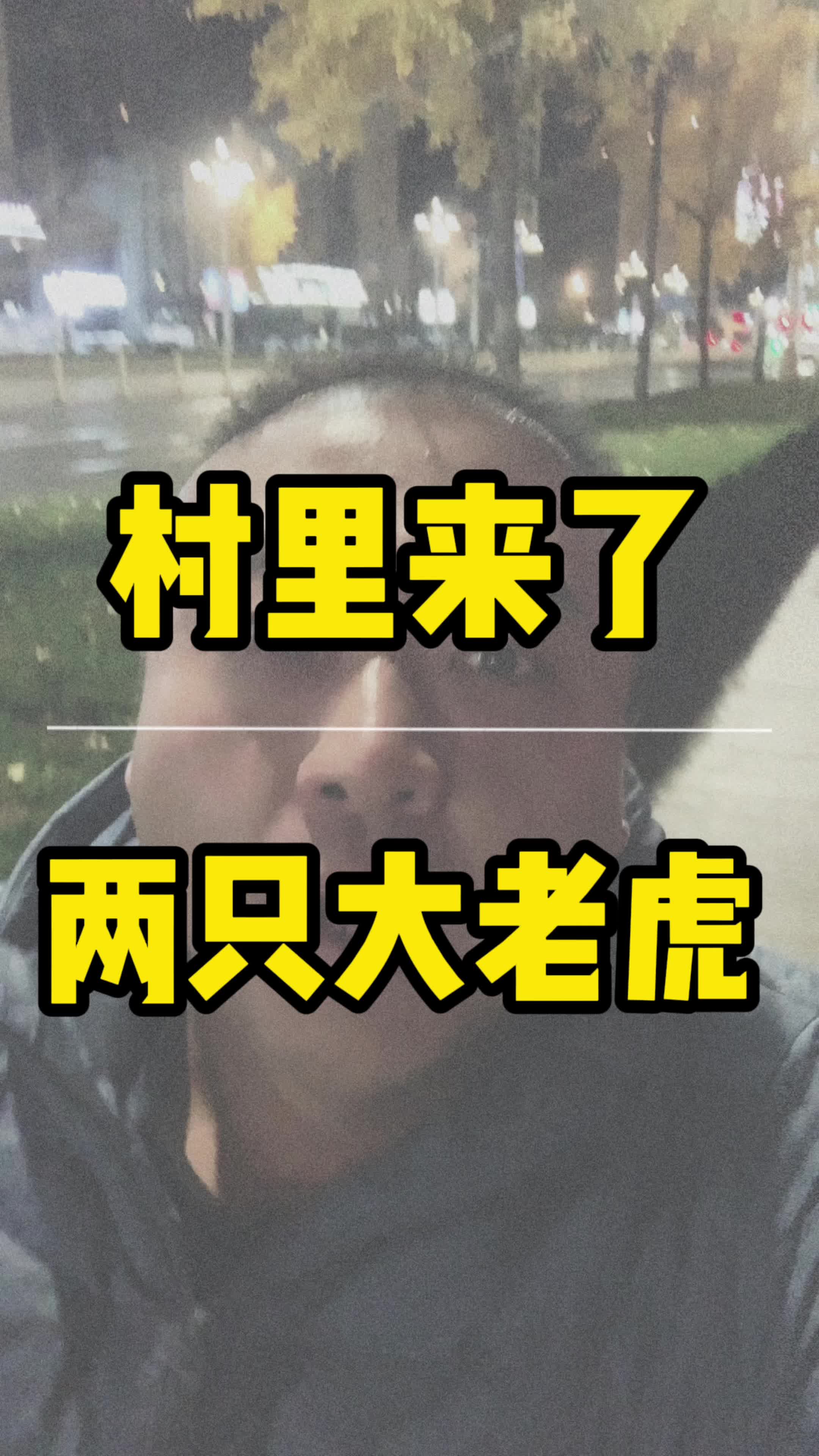 老虎进村咬伤村民#黑龙江野生东北虎咬伤村民 #老虎下山 #勃利县 #...