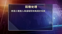 3-分栏与调栏