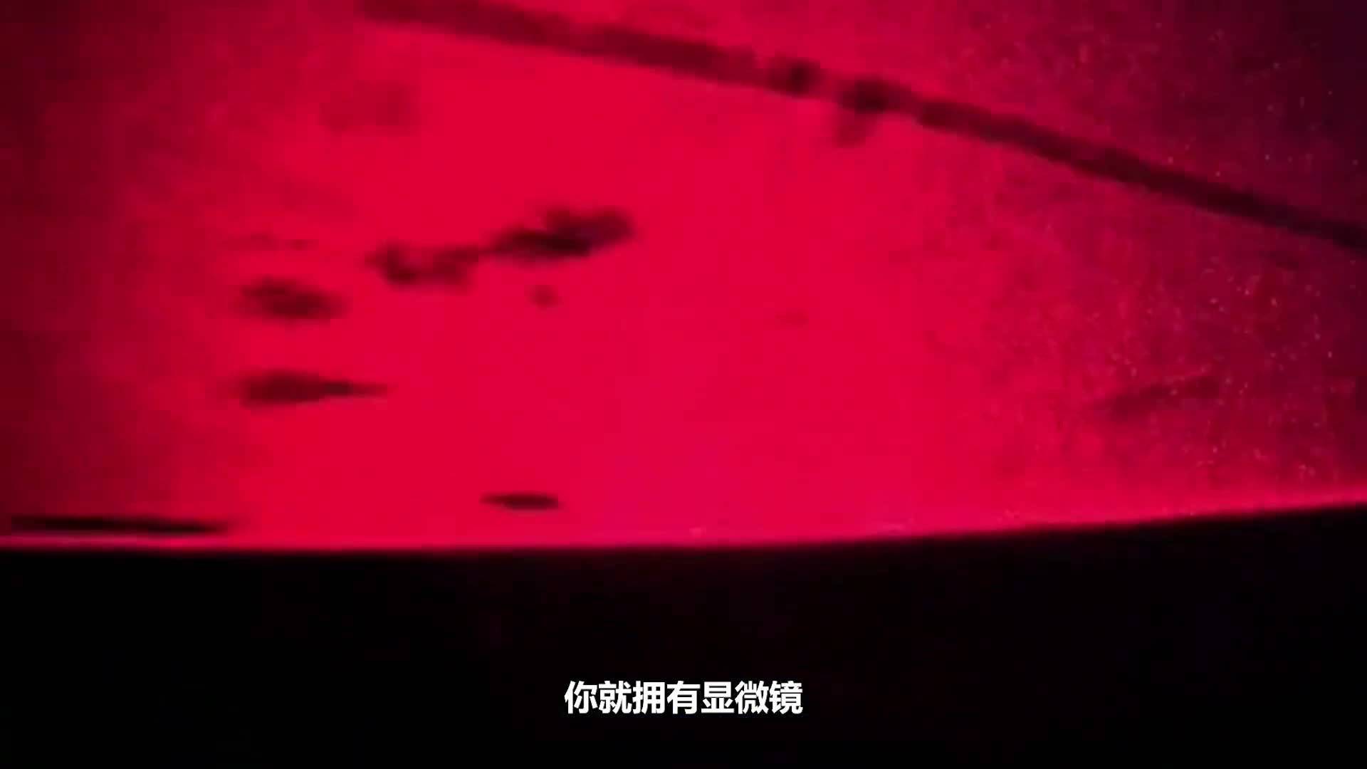 科学小实验:自制简易版显微镜,观察水中的物质