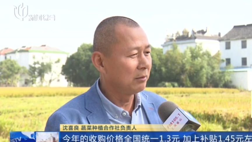 水稻成熟了！“万亩良田”开镰收割，金色稻田奏响“丰收曲”