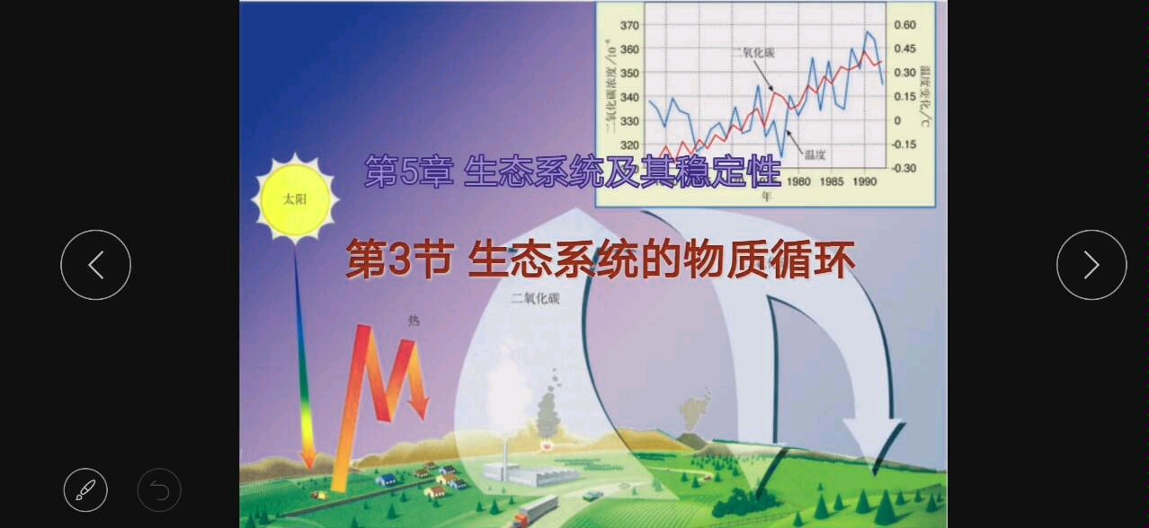 必修三5.3生态系统的物质循环