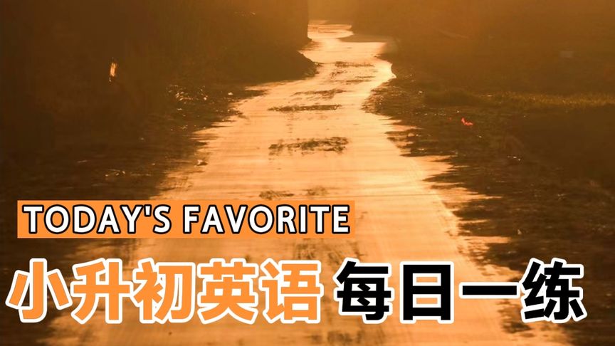 小升初英语练习题(2)