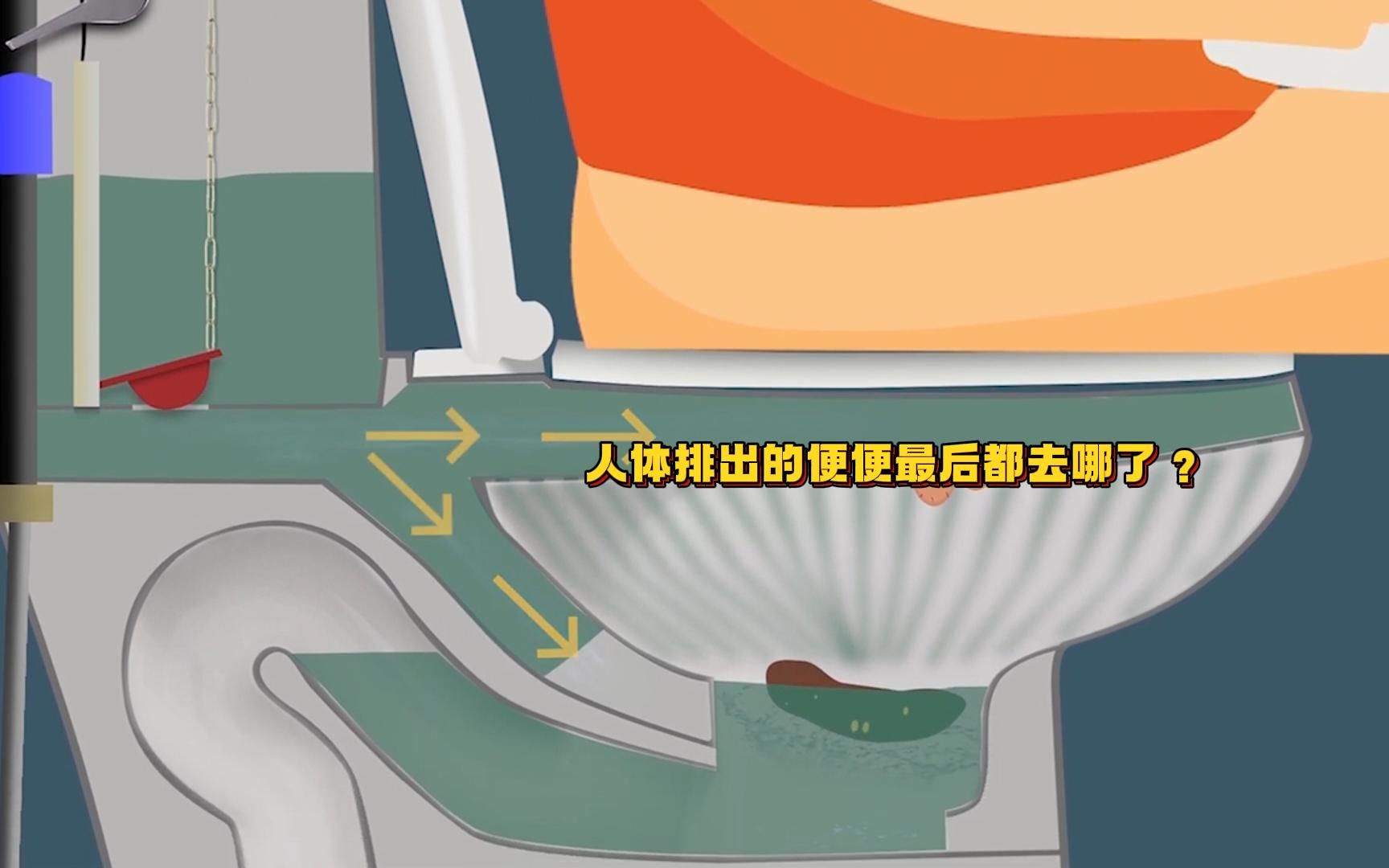 拉出来的便便都去哪了?7分钟了解,污水处理厂的工作流程!