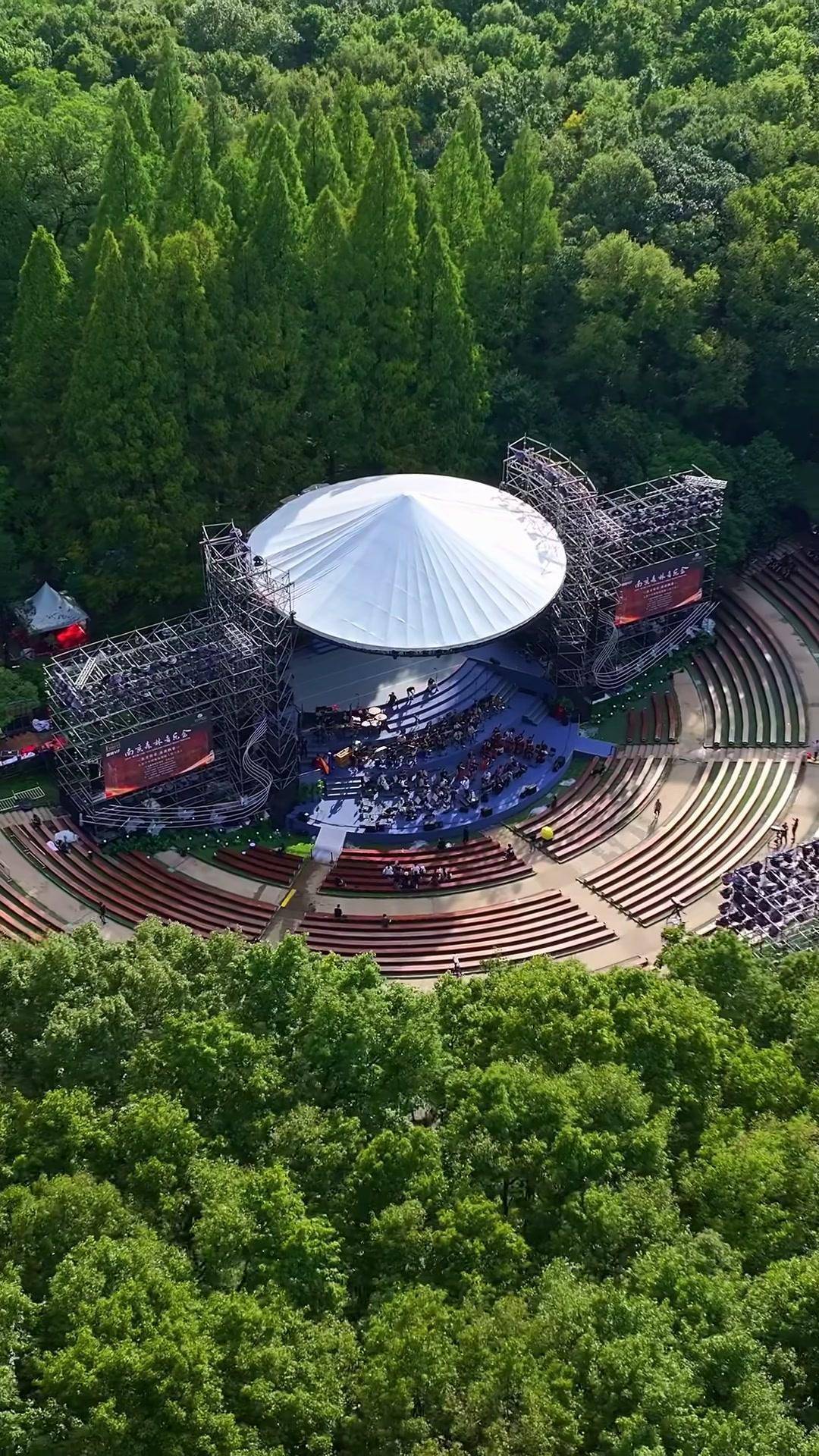 森林乐鸣悦动金陵。#2025南京森林音乐会,10月3日-10月7日相约中山...