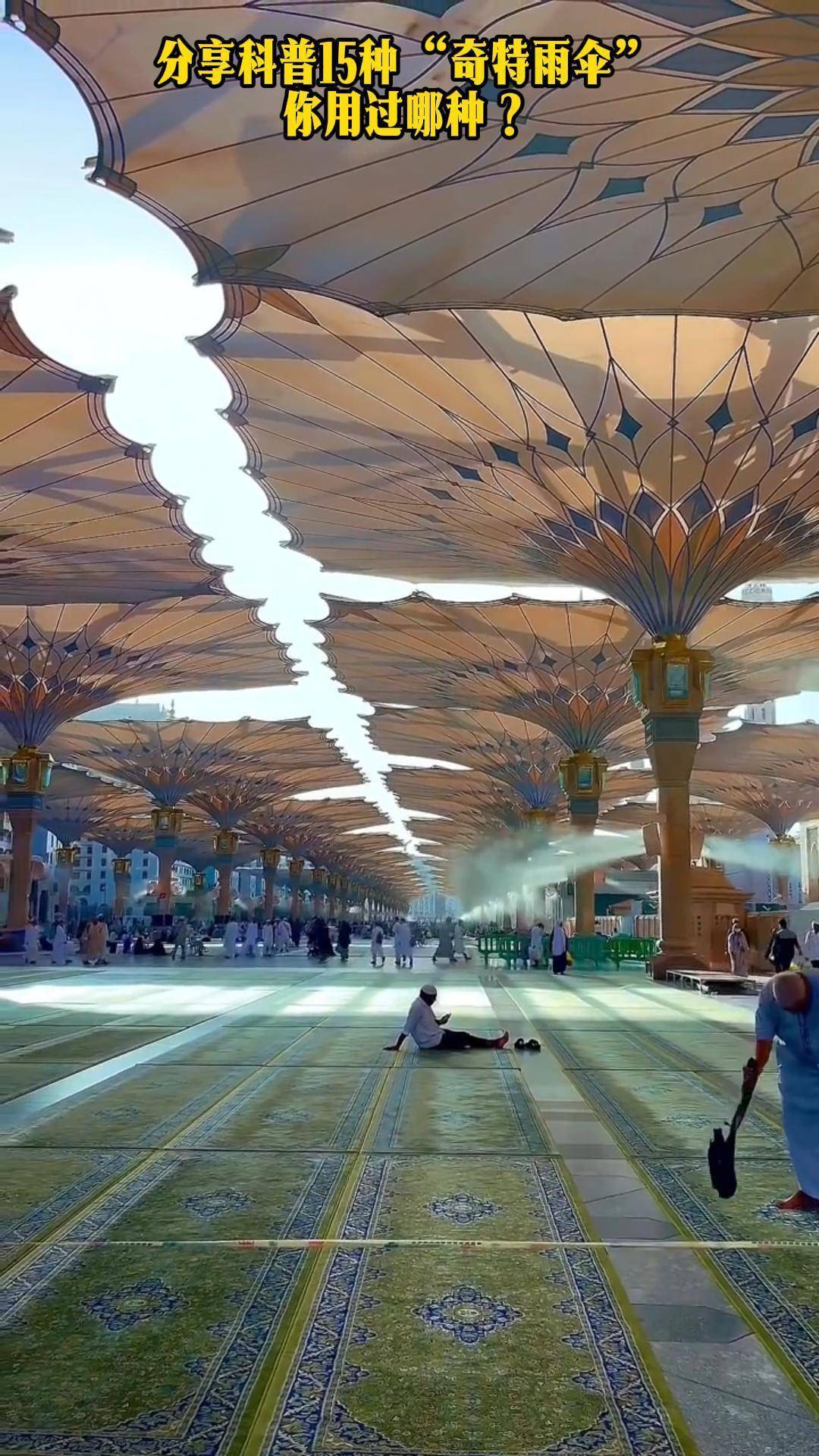 分享15种"奇特雨伞"你用过哪种?