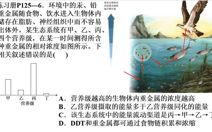 3-3 生态系统的物质循环-2