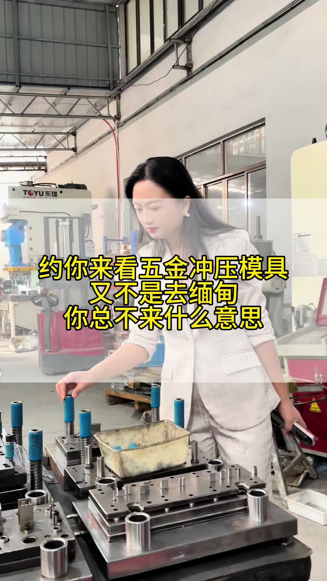 约你来看五金冲压模具 又不是去缅甸 你总不来什么意思#源头实力...