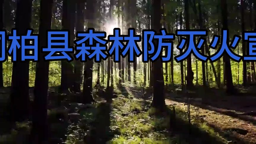 桐柏县森林防灭火宣传