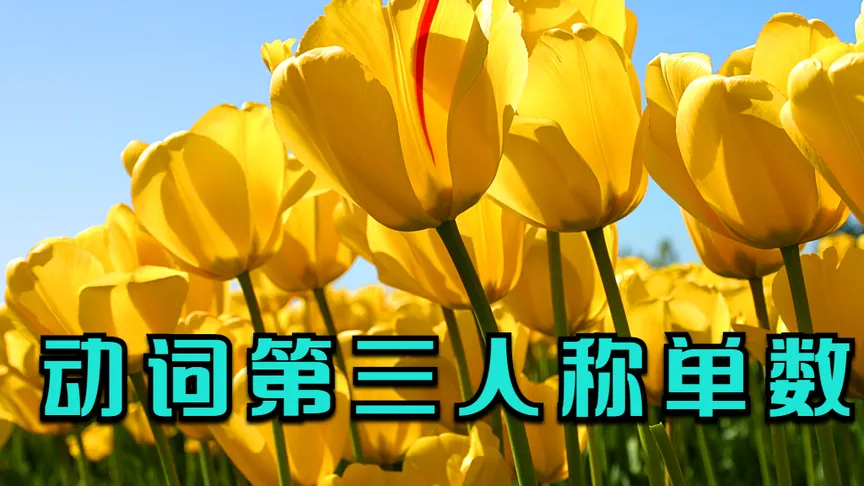 第三人称单数练习题免费