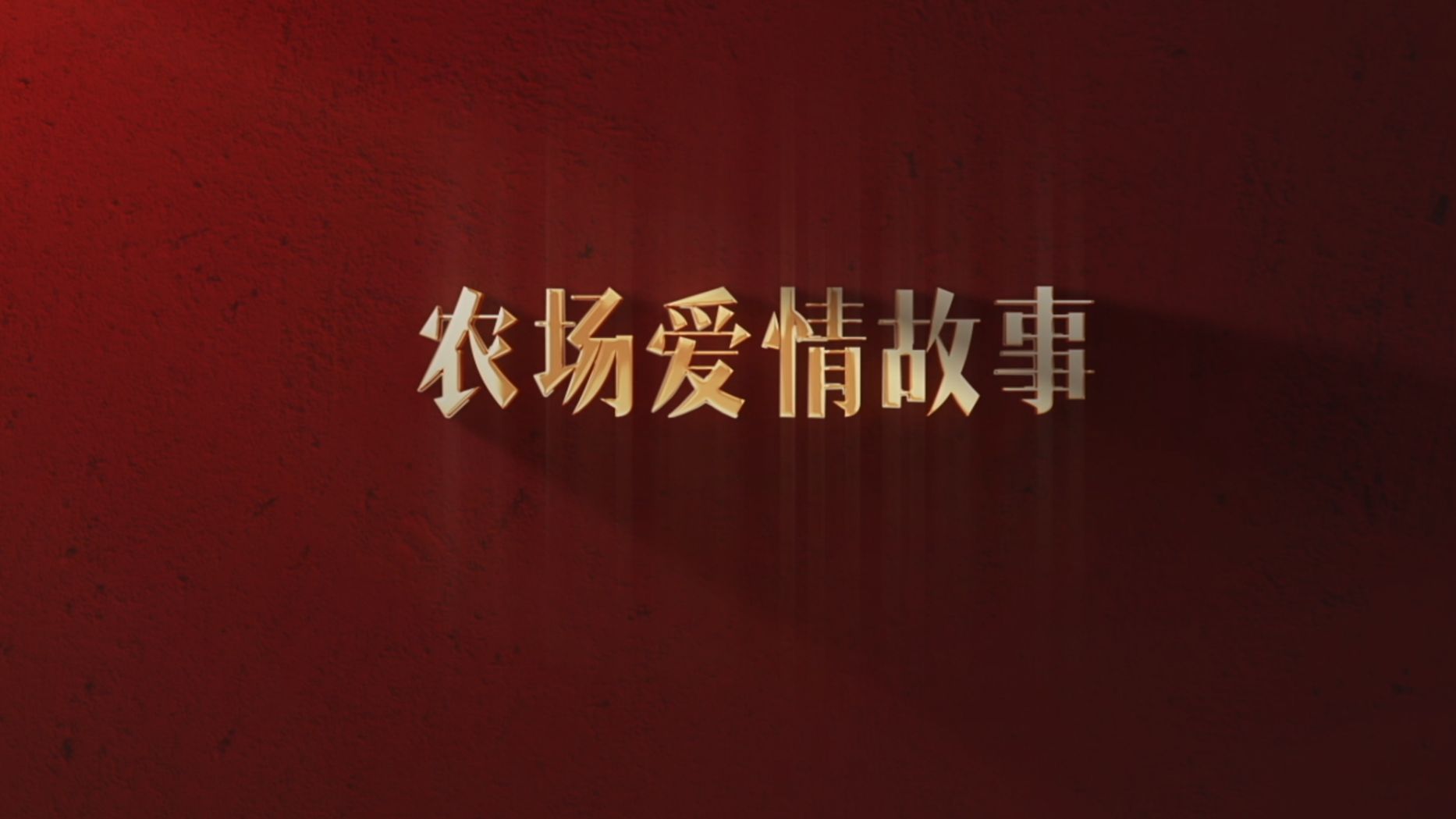 百集微纪录片《印记——兵团红色文物的故事》第八十二集《农场爱情...