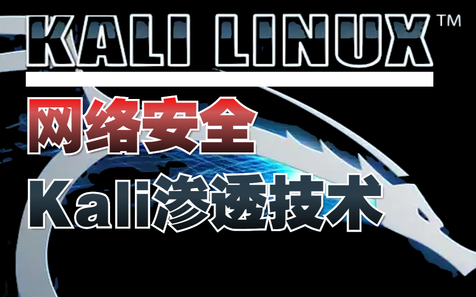 【整整500集】直接看时长!网络安全渗透测试技术,网络安全大佬录制!...