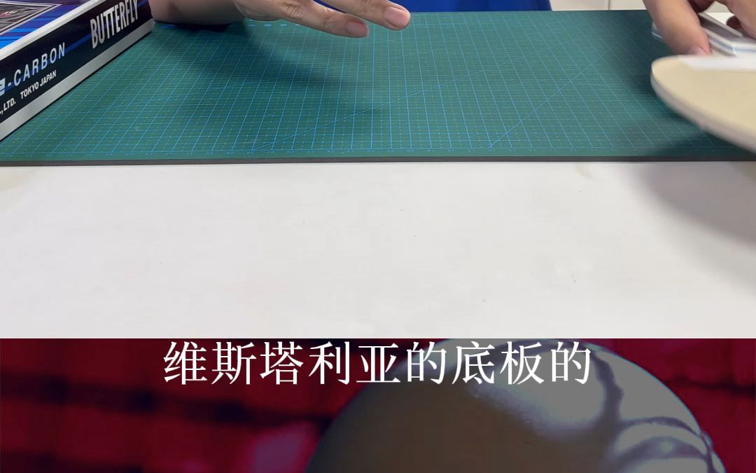 维斯卡利亚和金标维斯对比测评
