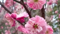 《细菌世界历险记》之菌儿的生活