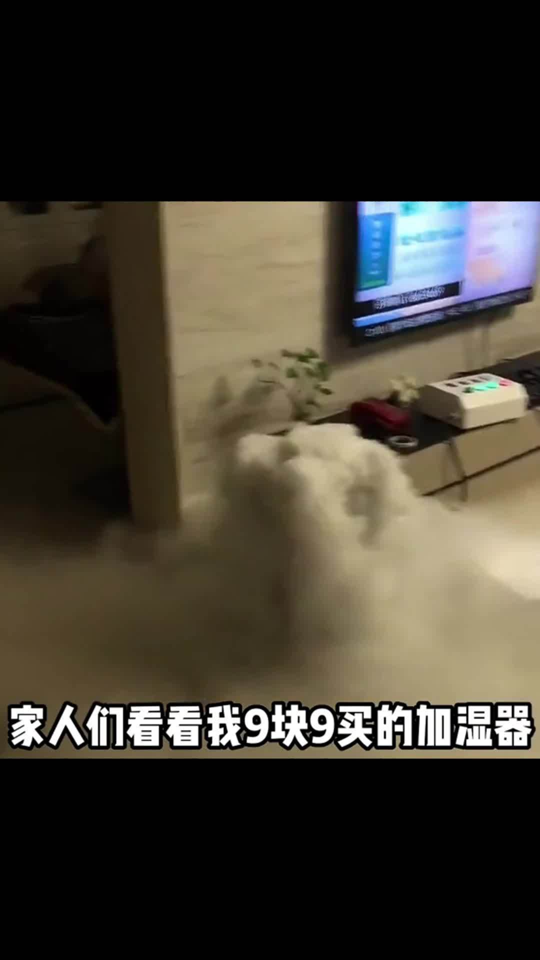 超绝加湿器,家里变天堂
