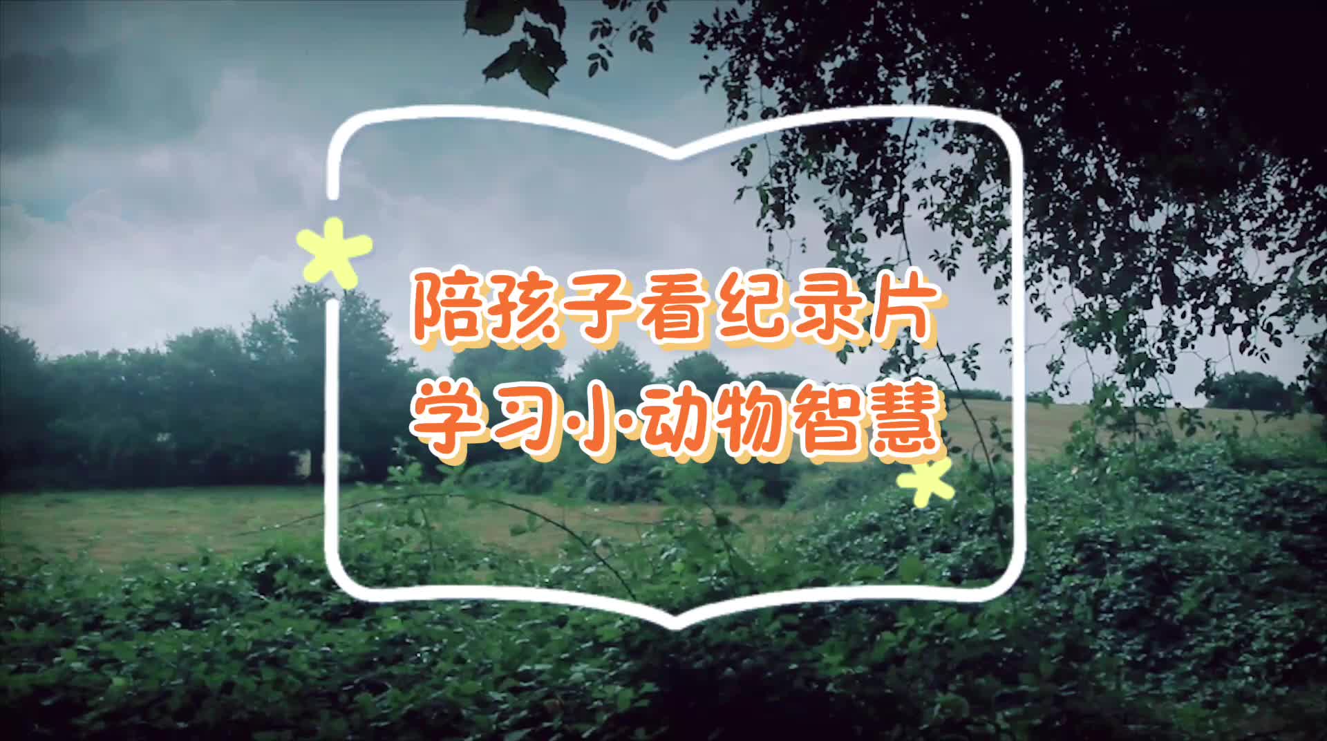 全网推荐的高分少儿教育片,每日更新 ߑ�为孩子挑选了1000+高分...