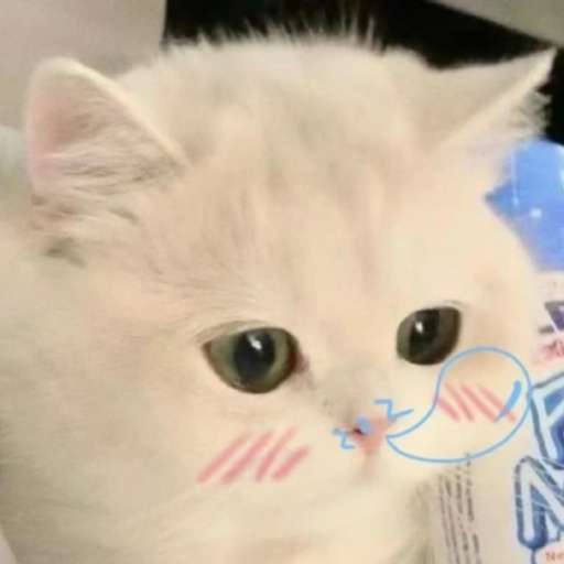 格式的记忆lin 